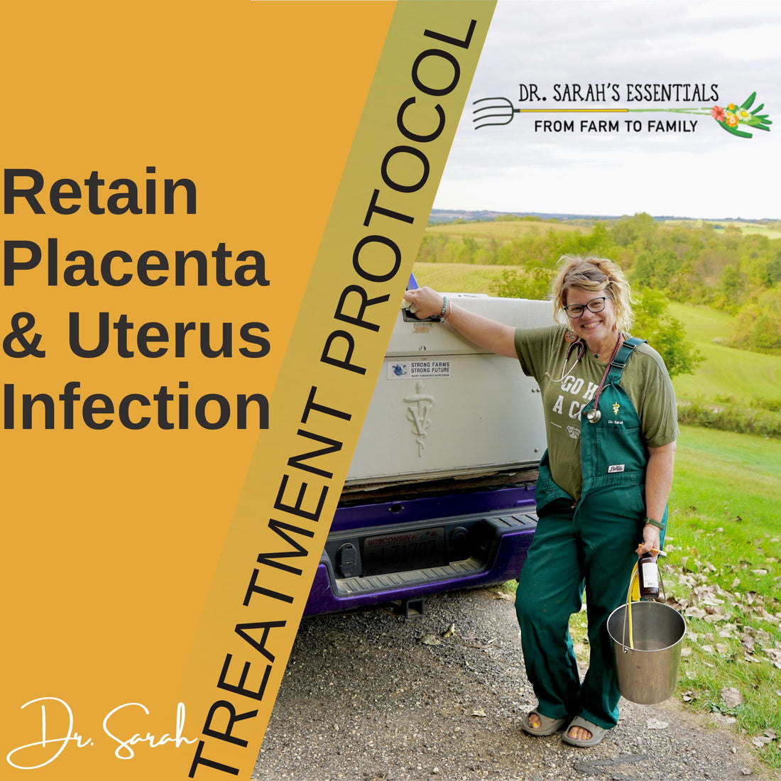 Retain Placenta & Uterus Infection Treatment Protocol – Dr. Sarah's ...